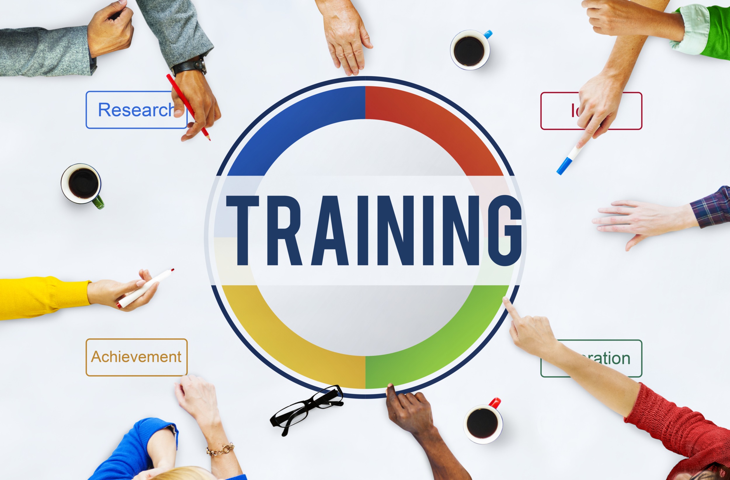 What is Training Management? A Beginner's Guide + FAQ's
